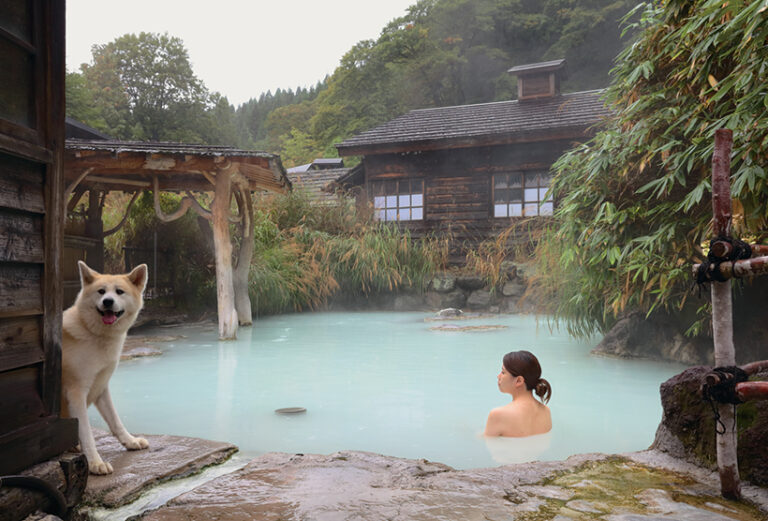 16 Best Onsen Spots in Japan | Hot Springs picked by a Local!